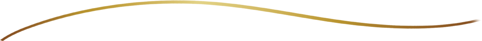 Alfiero - Tiramisu revisited - Alfiero